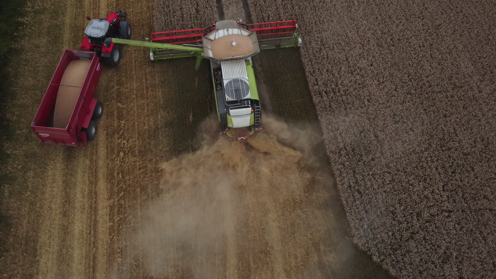 CHS to Close Three Grain Elevators in Southern Minnesota After 2026 Fall Harvest
