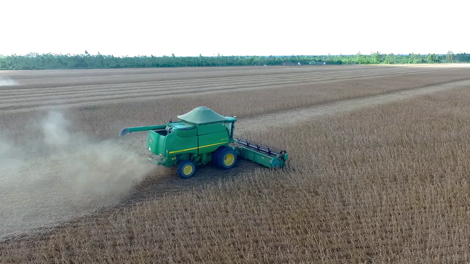 USDA AgTransport Grain Price Report: Soybean Bids Lead, Corn and Wheat Follow