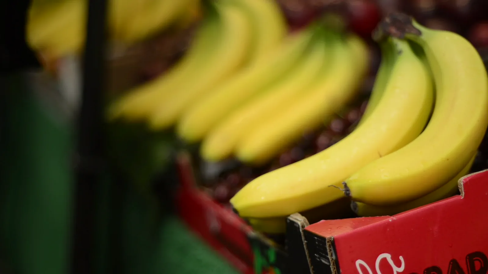 Baltimore Terminal Market Fruit Prices Report – June 5, 2026