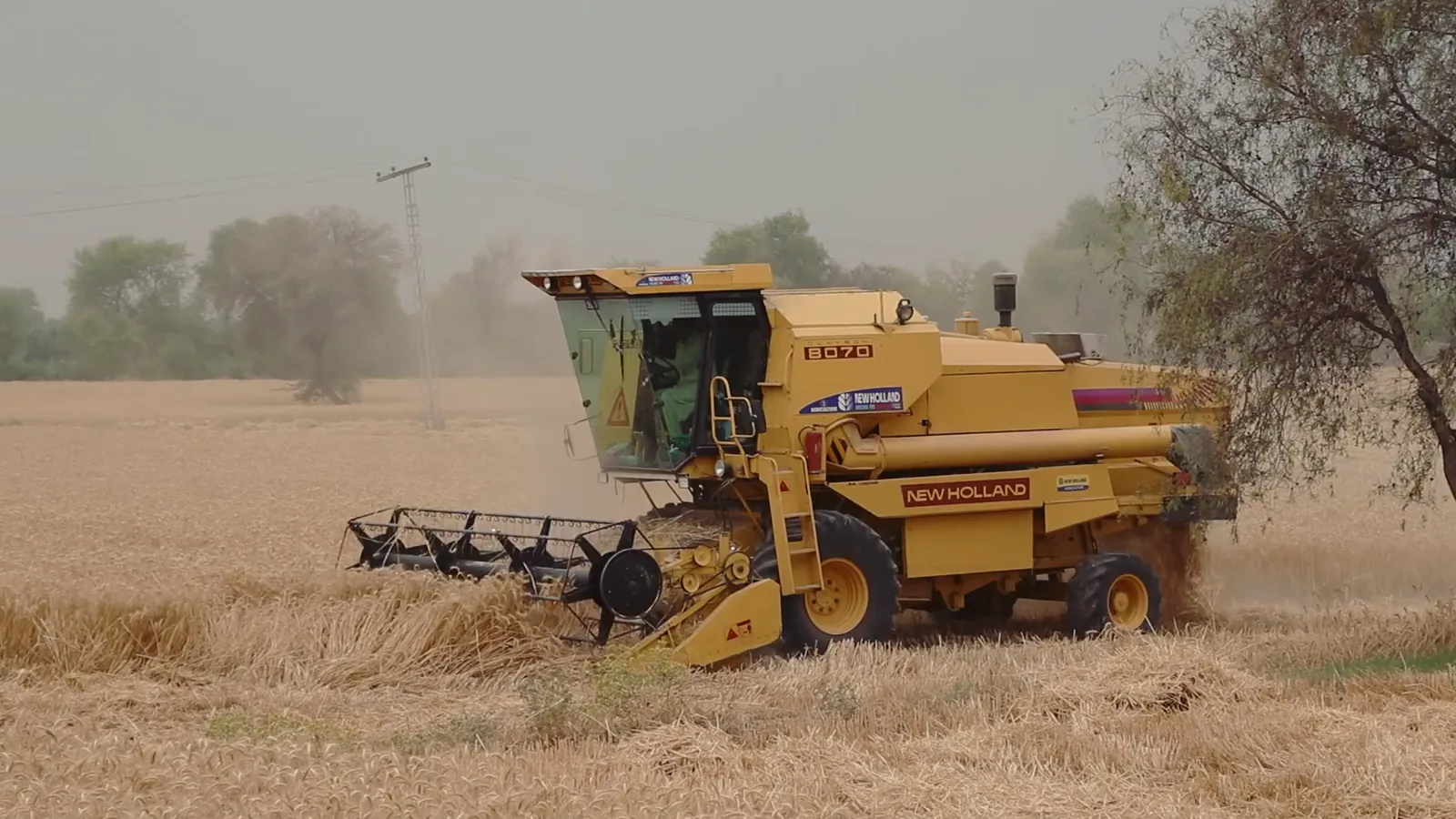 USDA AgTransport Report: Grain Shuttle Train Turns Mixed Across Railroads for Week Ending June 5, 2026