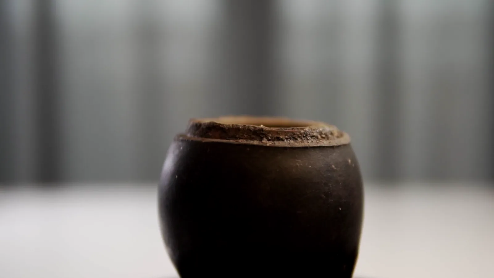 Barron Trump’s SOLLOS Yerba Mate Launches First Product with USDA Organic Certification