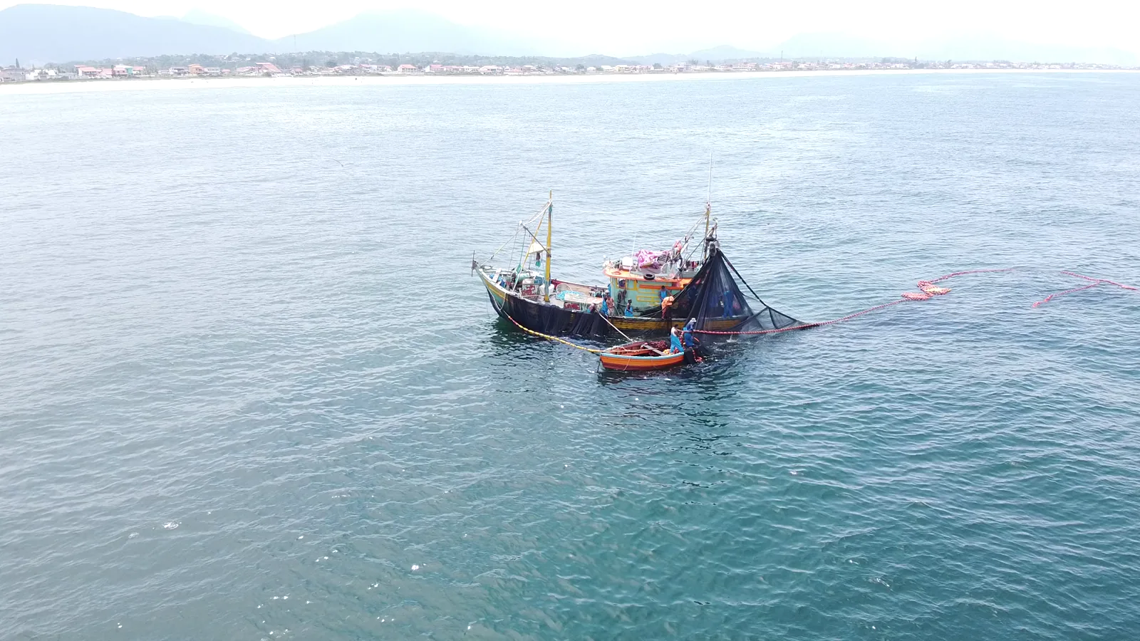 Chile and Peru Legal Changes Threaten Jumbo Flying Squid Fishery, Companies Warn