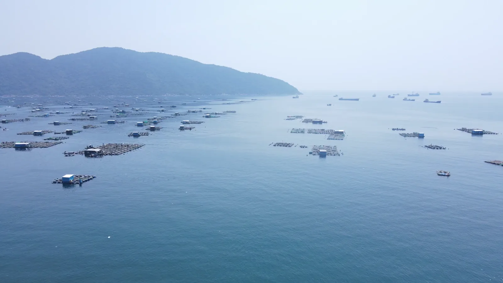IFFO China Summit Highlights Rising Demand and Supply Shortage for Marine Ingredients