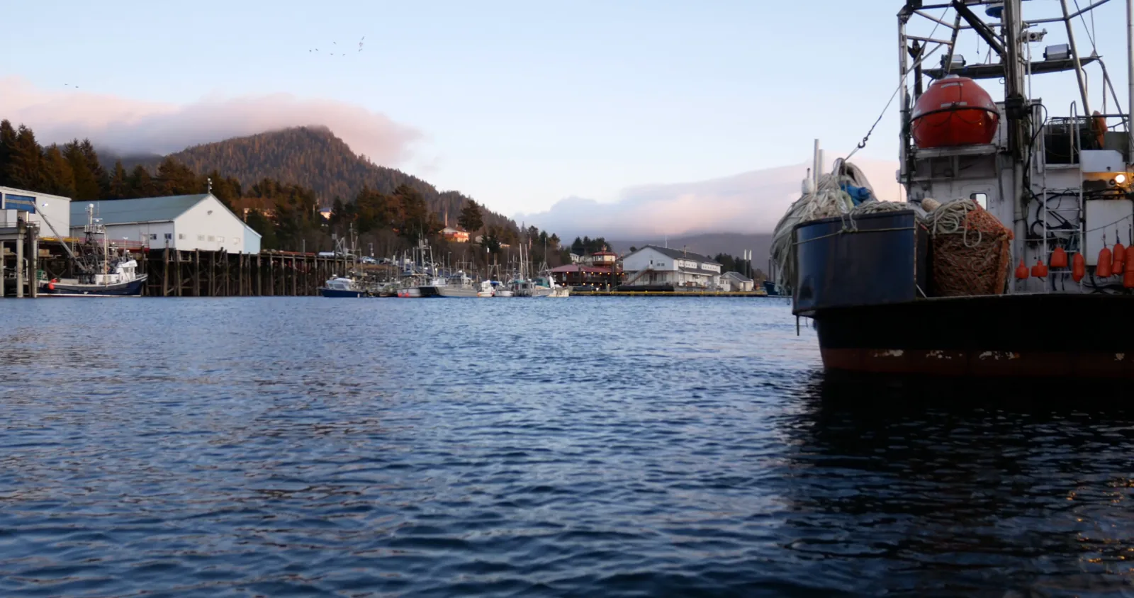 BC Commercial Salmon Fishing Season Opens with Strong Sockeye Forecast for 2026
