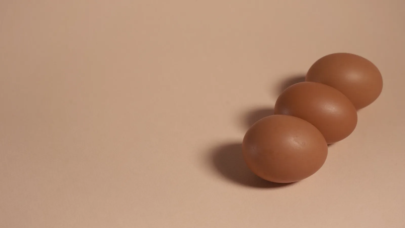 USDA Egg Market Report: June 2026 Price and Inventory Analysis