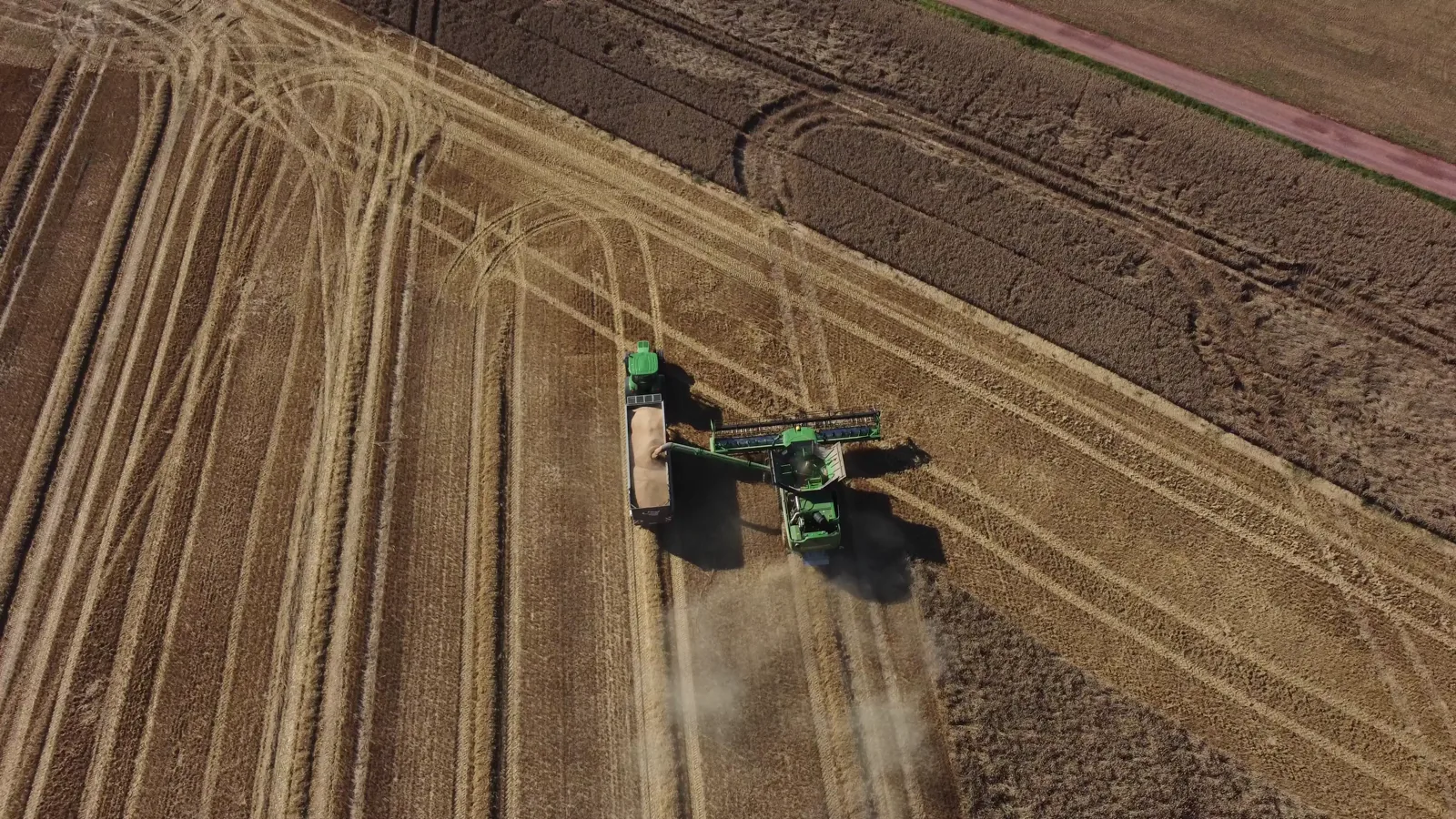 Illinois Grain Bids Report: June 26, 2026 – Corn, Soybeans, and Wheat Cash Prices
