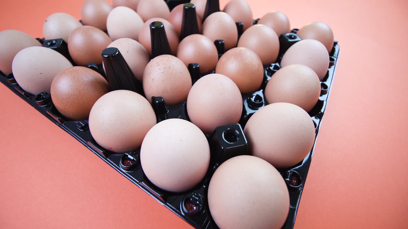Egg Market Report: Mixed Trends and Steady to Lower Prices as of June 26, 2026