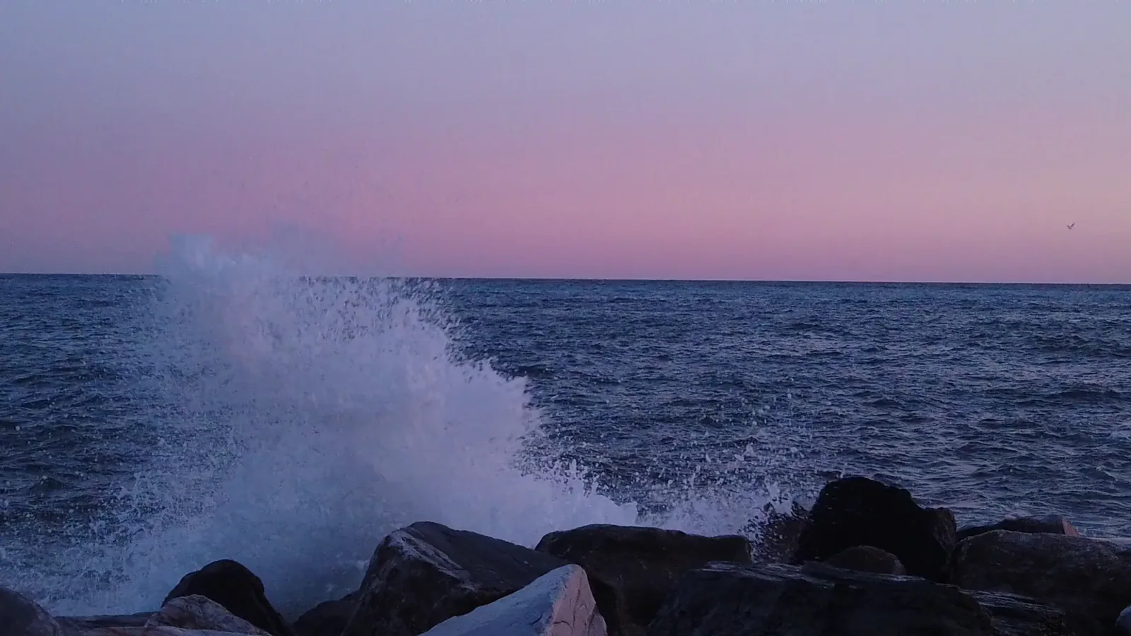Ocean Energy Could Meet 13% of Global Electricity Demand, New Report Finds