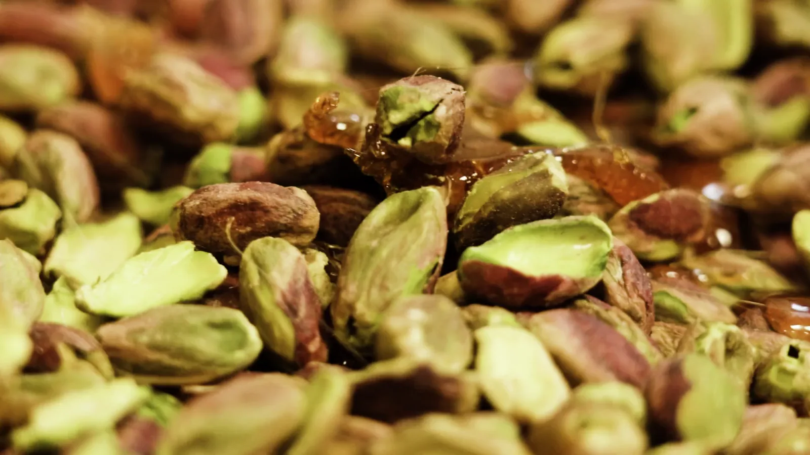 USDA Boston Terminal Market Nuts Prices Report – July 2, 2026
