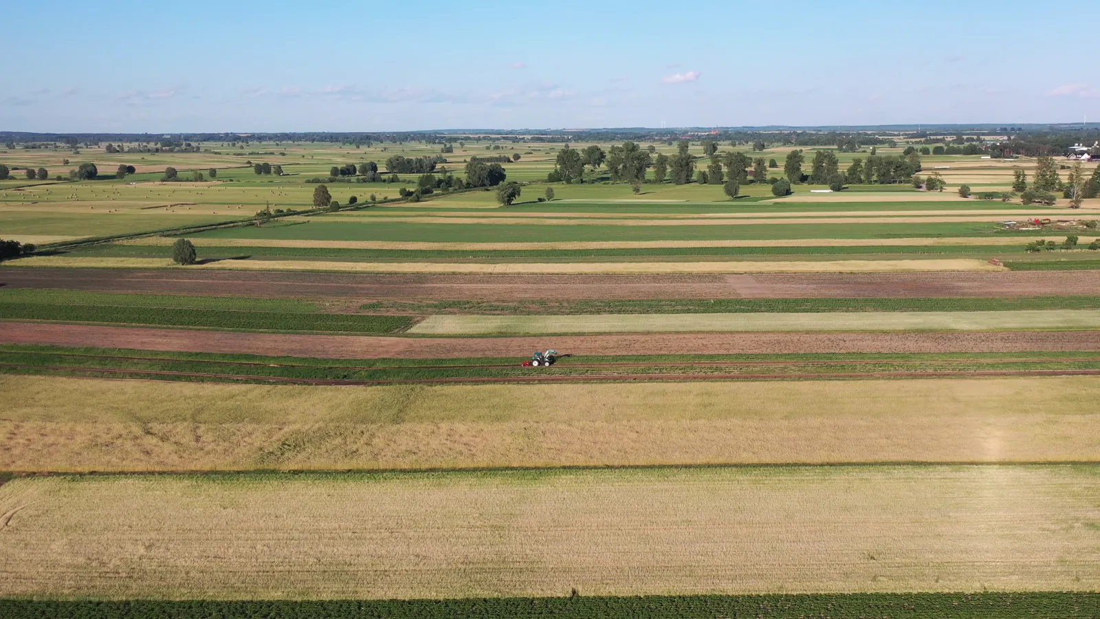 USDA Peanut Prices Report: Average Price Drops to 21.2 Cents per Pound as of June 27, 2026