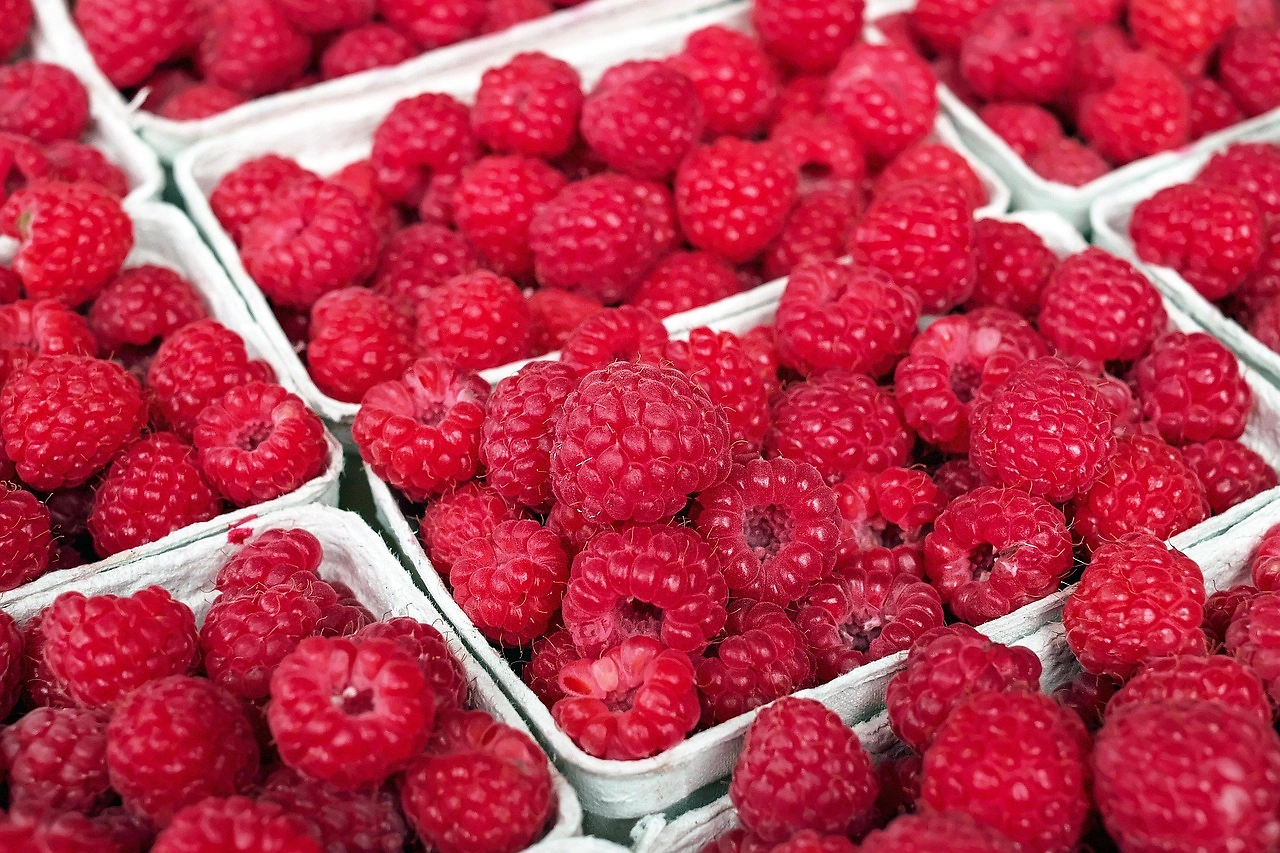 Philadelphia Terminal Market Fruit Prices Report – June 4, 2026