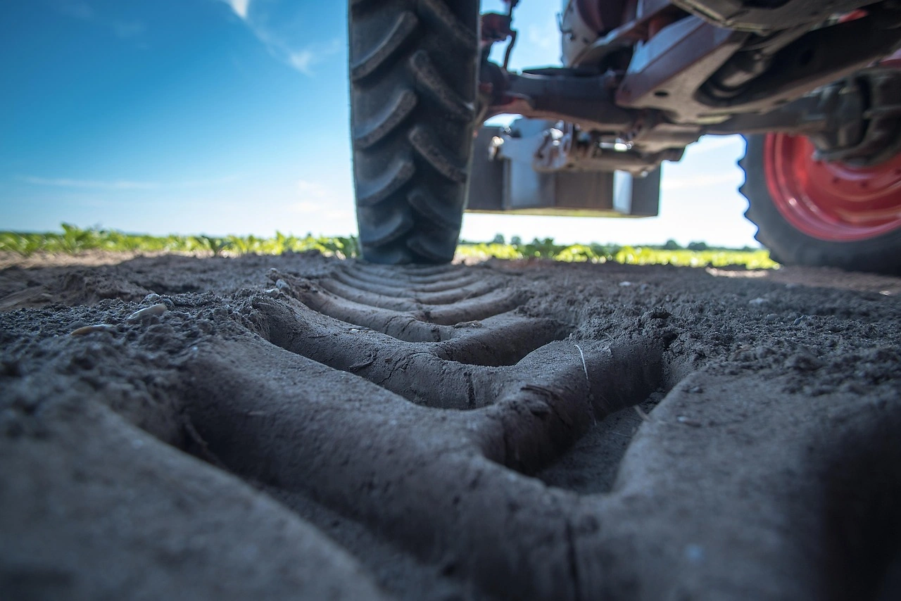 Tractor Supply Q3 2025 Results: Sales Up 7.2%, Matches Estimates