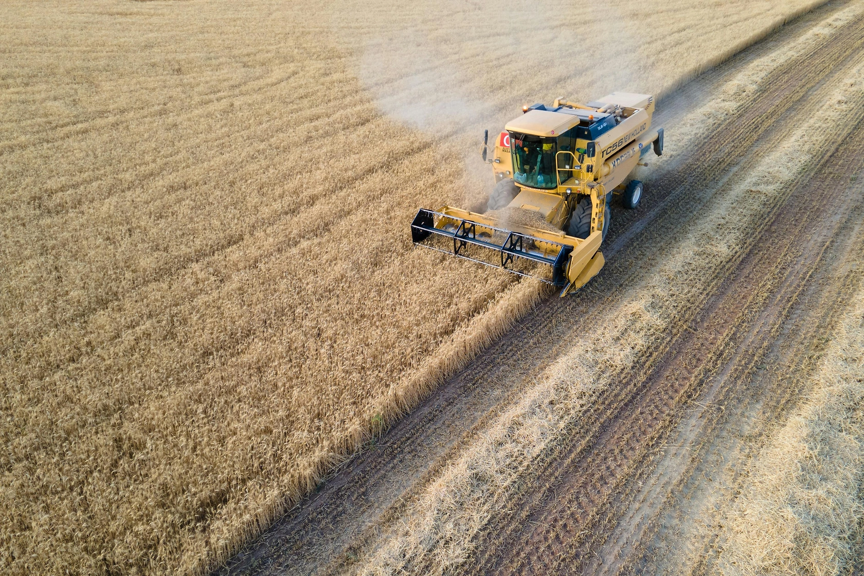 Turkey's Grain Outlook 2025-26: Drought, Policy Shifts, and Export Challenges