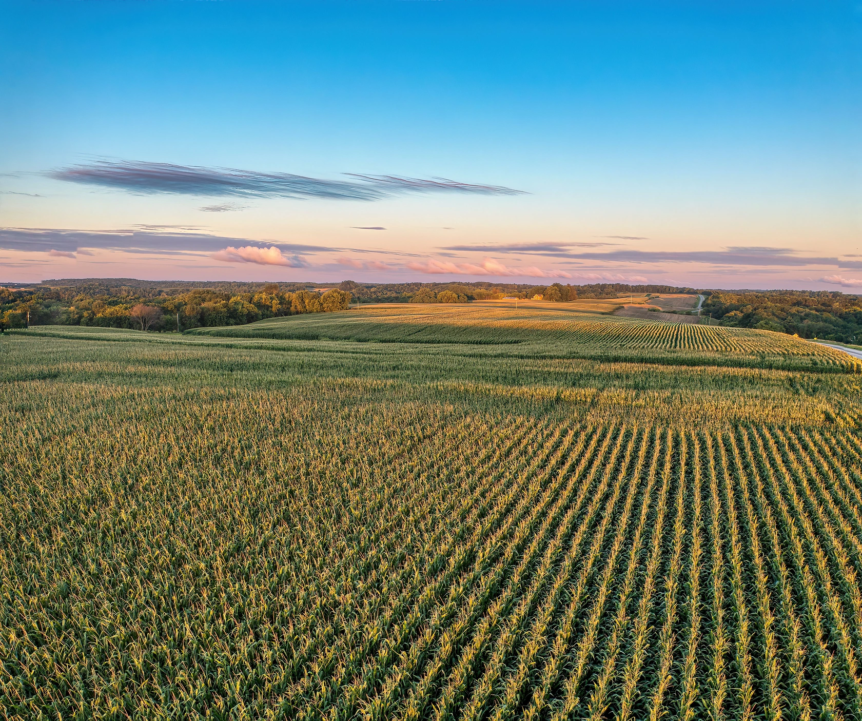 USDA AMS Daily State Grain Bids Bundle: June 22, 2026 Market Overview
