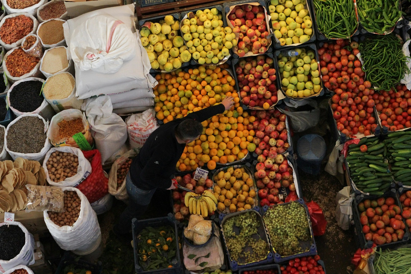 USDA Idaho Falls Shipping Point Fruit Prices Report: New York Apple Market Update – June 4, 2026