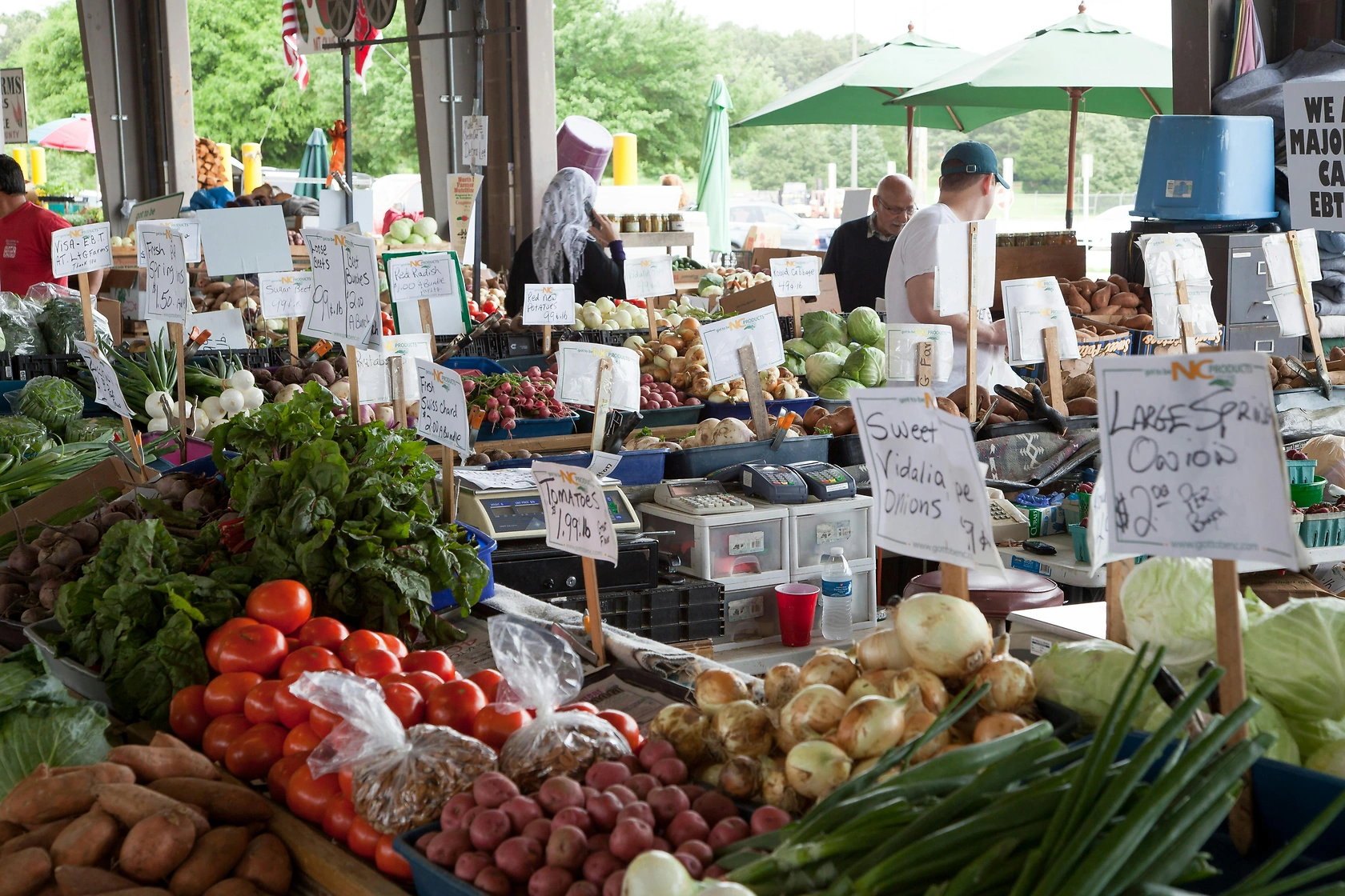 Asheville Terminal Market Report: Onion and Potato Prices on June 25, 2026