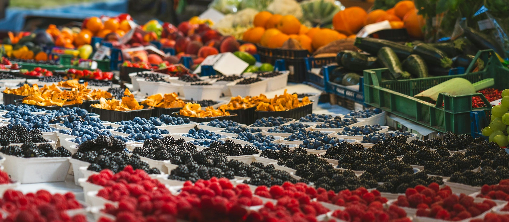 Columbia Terminal Market Report: Dry Onions and Potatoes Prices on June 5, 2026
