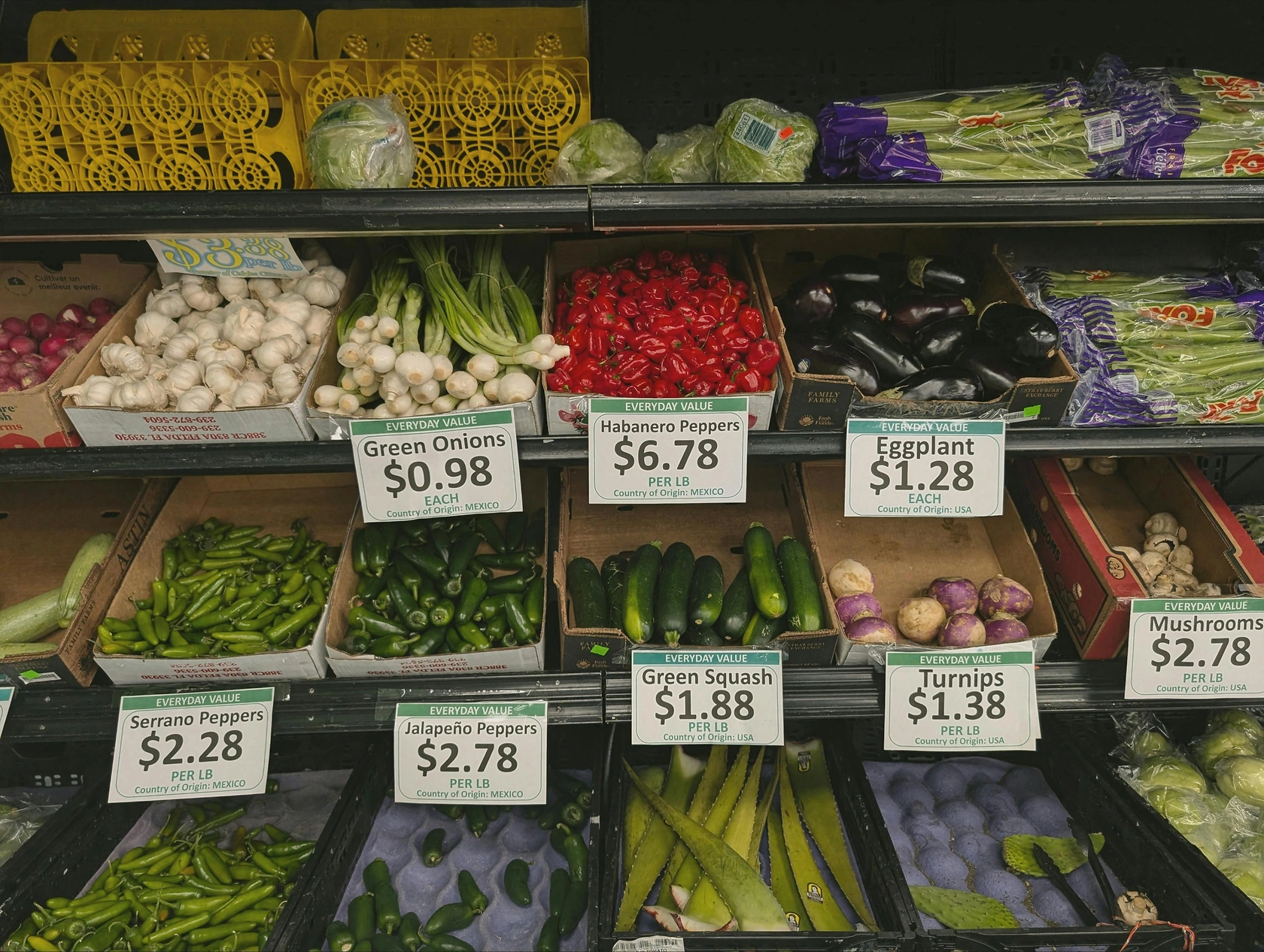 Atlanta Specialty Crops Market Report: Herbs and Vegetables Prices on May 21, 2026