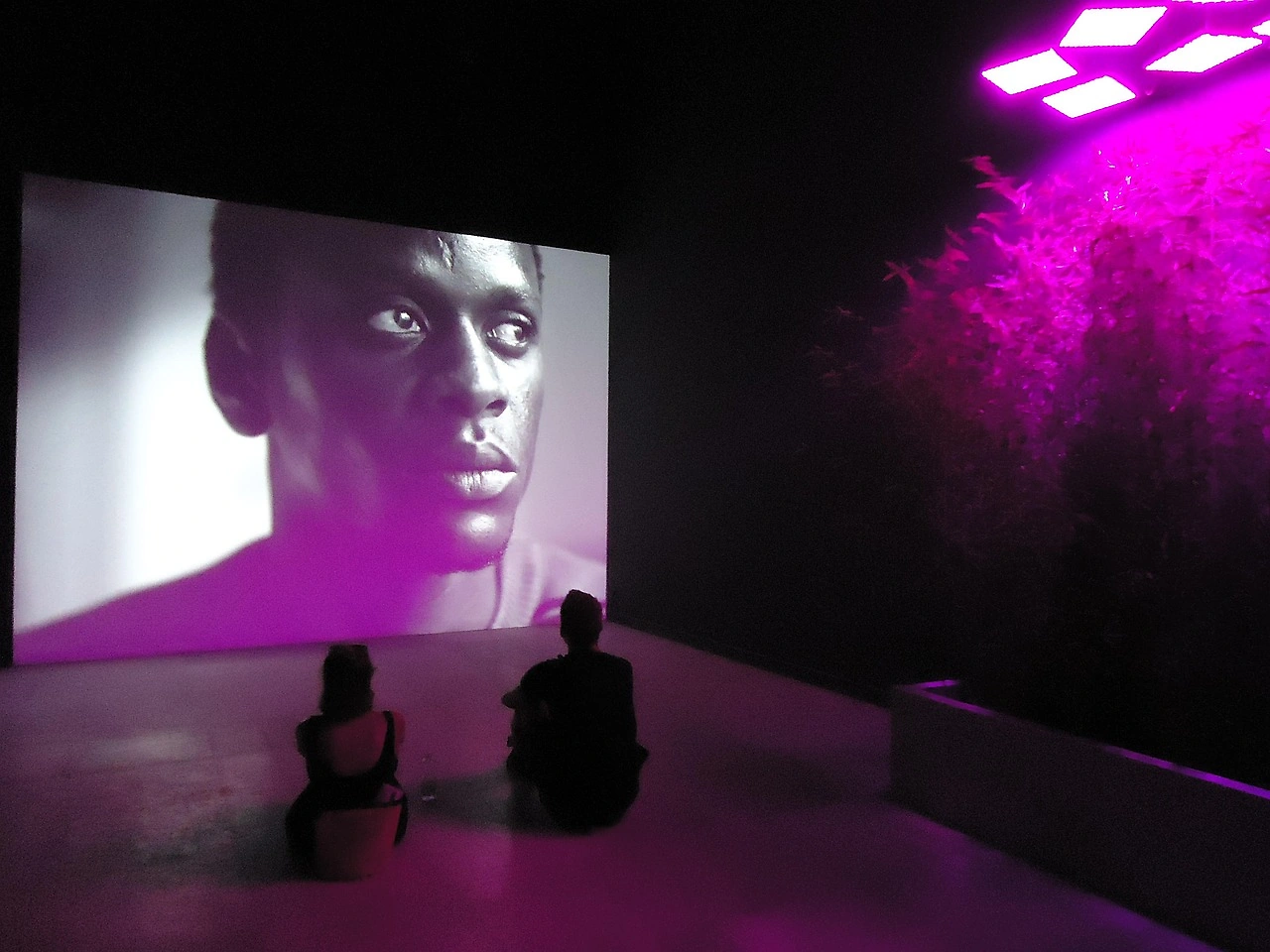Major Art World Events Announced for 2026: Venice Biennale, New Fairs & Exhibitions