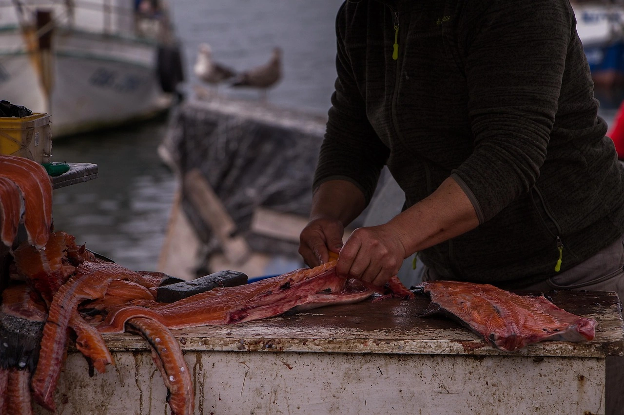 Ventisqueros Bets on Coho Salmon for Major Growth by 2030