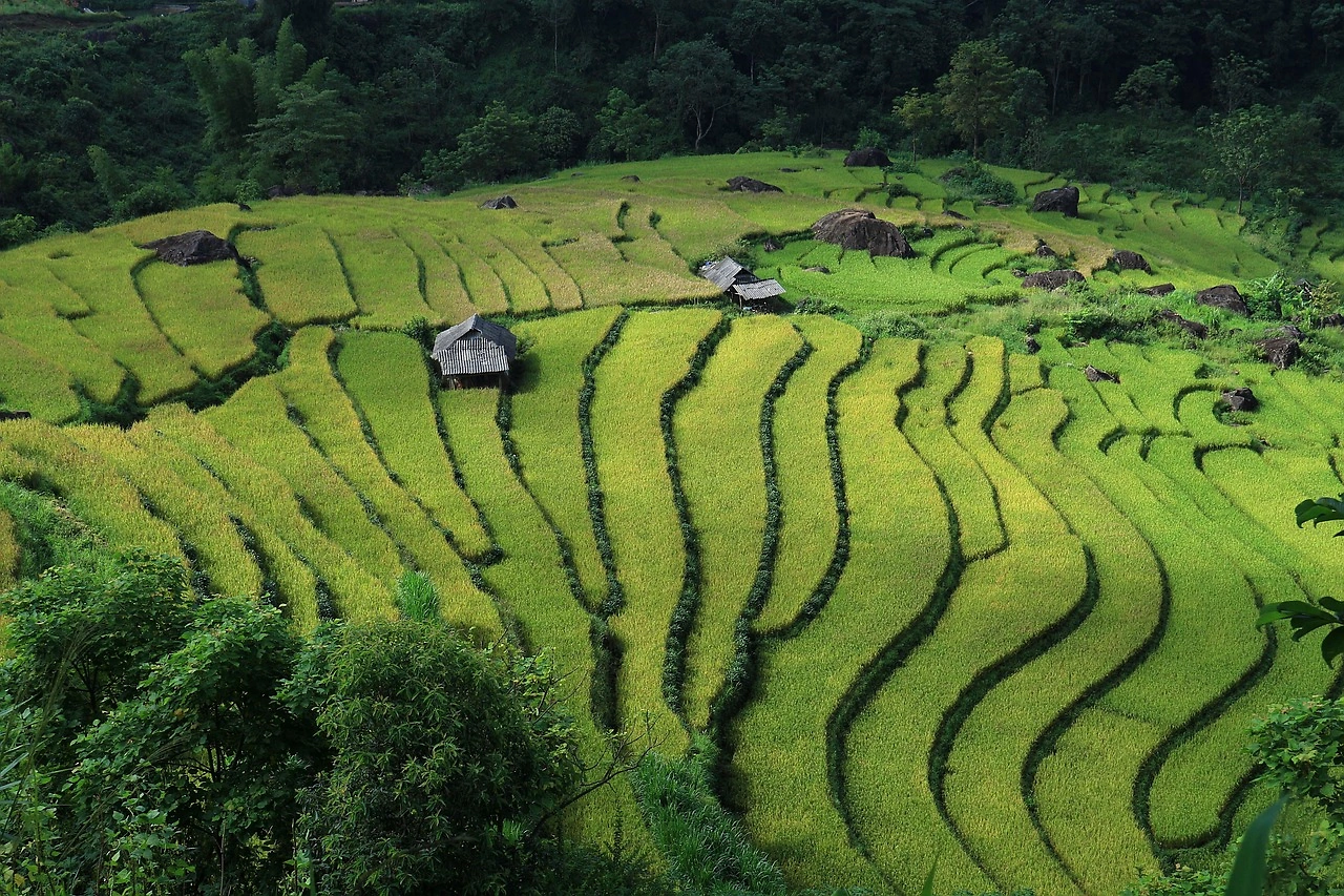 Vietnam's Economic Indicators Show Mixed Results in Early 2026