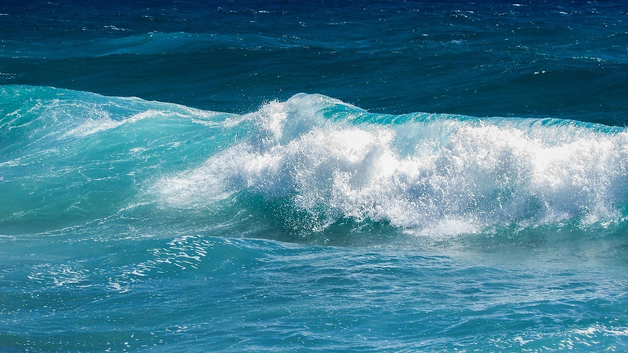 ZOEX Power Sells First Wave Energy Prototype After Successful Black Sea Trials