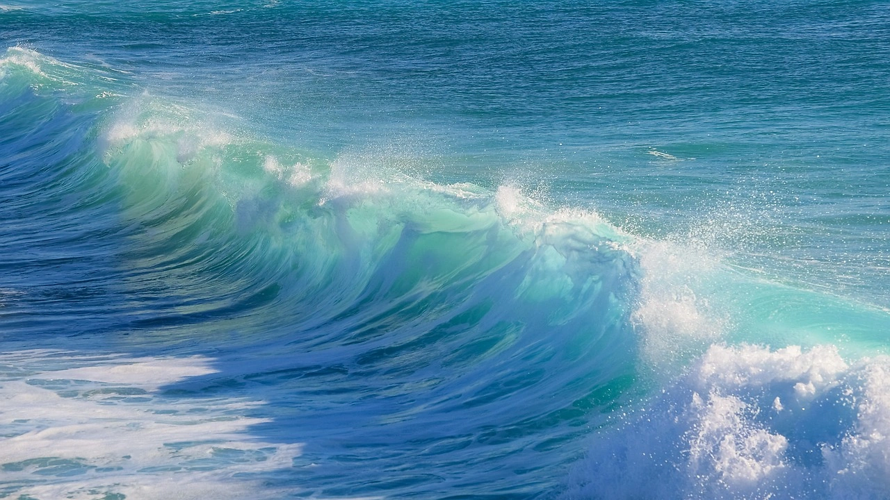 Wave Life Sciences Reports Q3 2025 Loss, Misses Revenue Forecasts