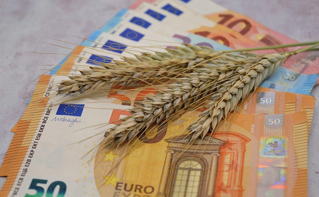 Wheat Futures Post Modest Midday Gains on November 21, 2025