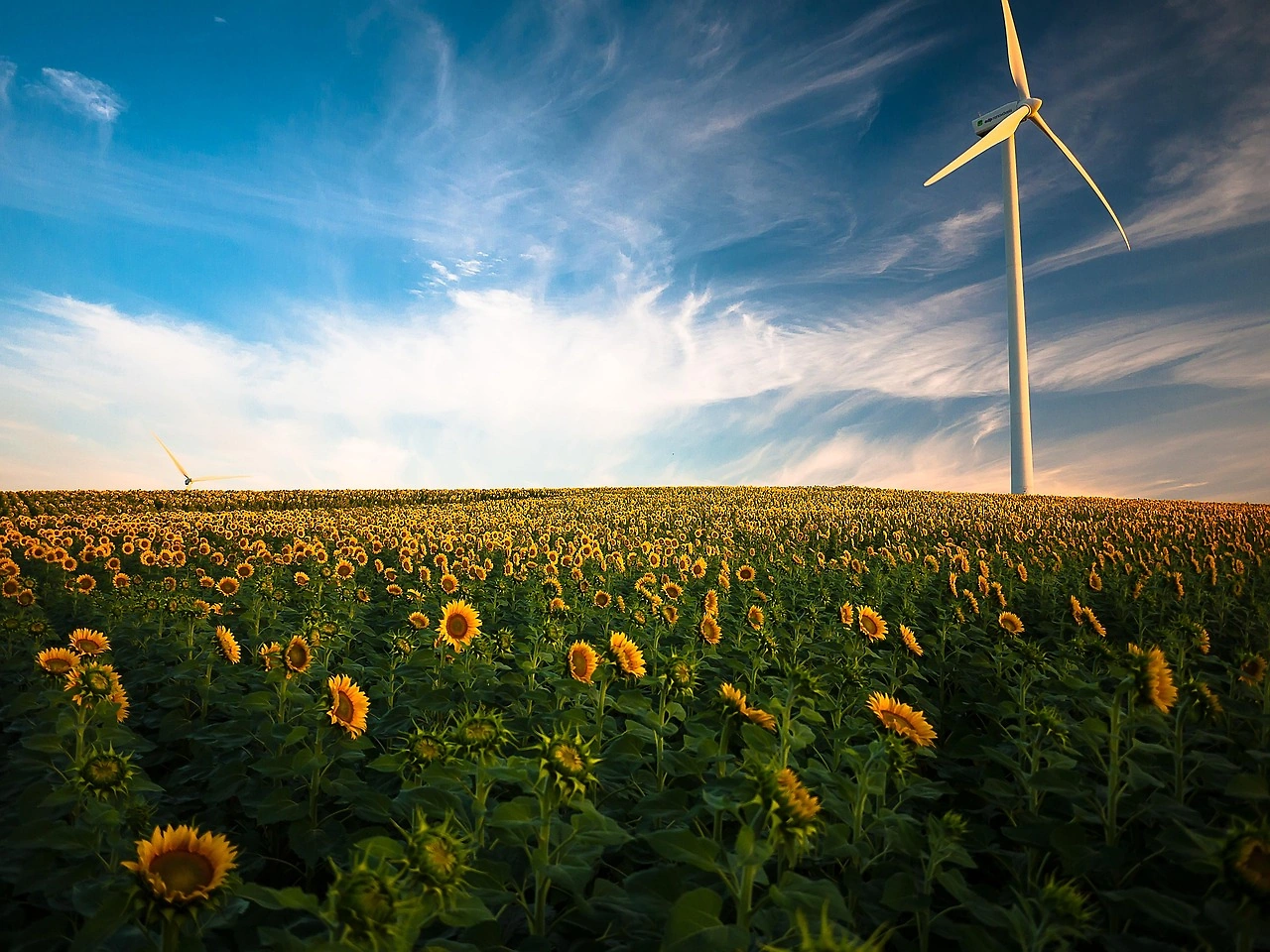 SANY Renewable Energy Ships First Wind Power Equipment to Latin America for Chile Project