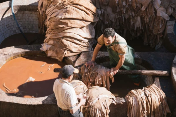 Leather and Hide Price in America Plummets 18%, Averaging $5.1 per Unit