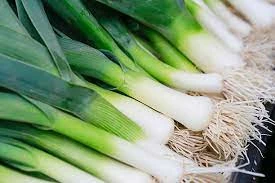 Australia's Leek Price Increases to $3,840 per Ton