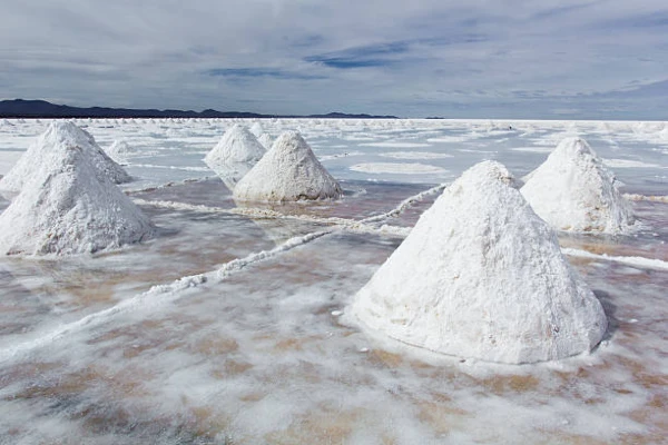 Top Import Markets for Lithium Oxide, Hydroxide and Carbonate