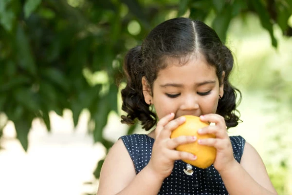 India's Mango and Mangosteen Prices Rises to $1,371 per Ton