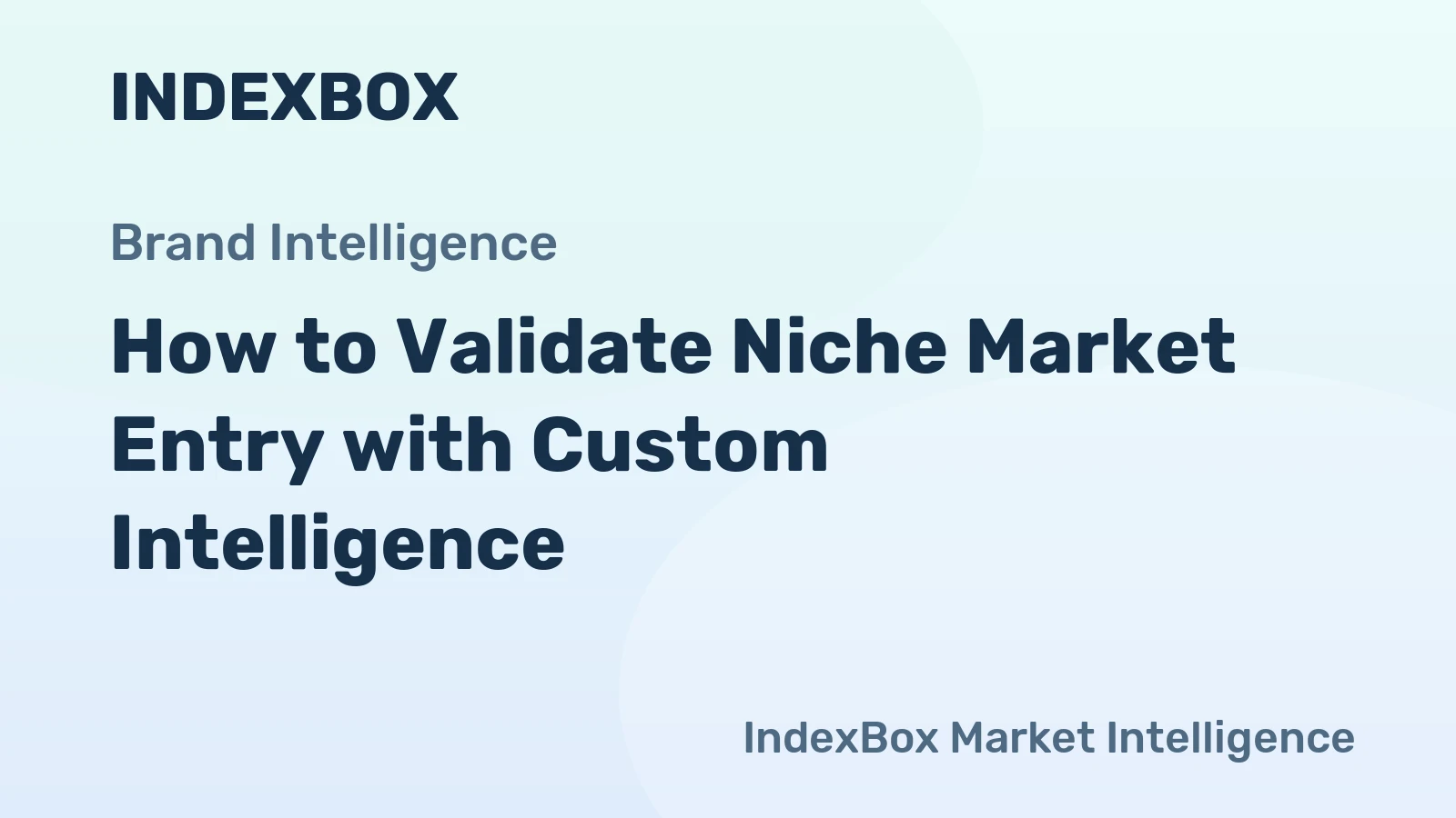 How to Validate Niche Market Entry with Custom Intelligence