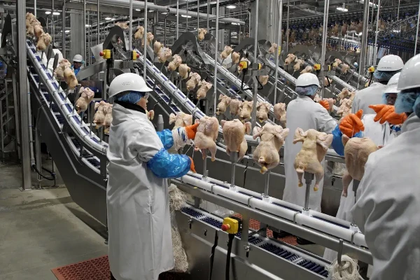 The Top Players in the Global Meat and Poultry Market and Their Winning Business Strategies