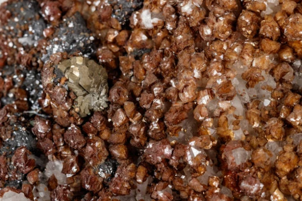 Exploring the Top Countries for Roasted Molybdenum Imports