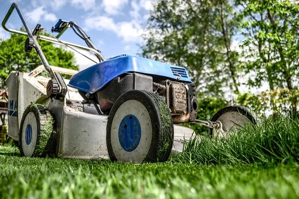 Turkeys Prices for Mowers Shoot Up 21% in Two Months, Reaching An Average of $427 per Unit