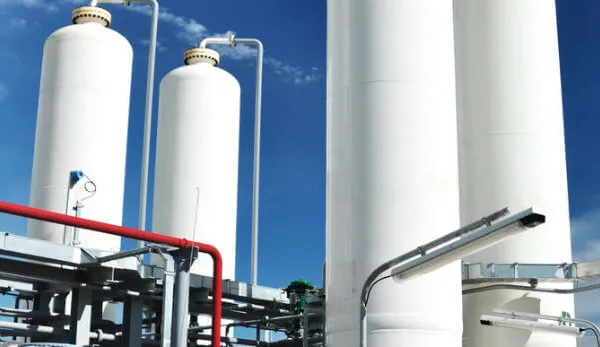 Market Entry Strategy for Nitrogen in EU - A Comprehensive Guide