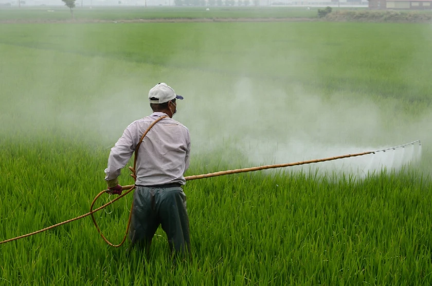 Global Pesticide Industry Overview 2025