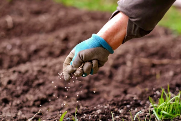 Brazilian Phosphatic Fertilizer Prices Hit a Low of $234 per Ton