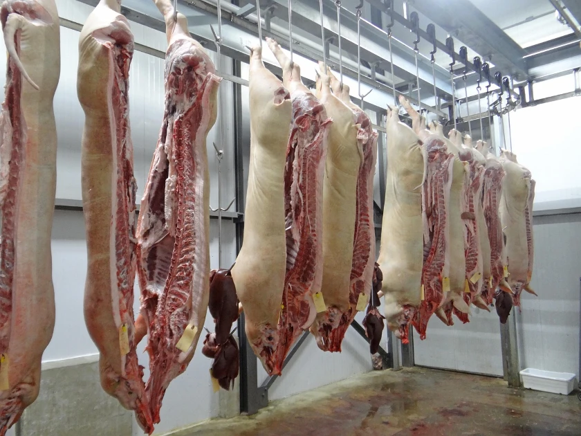 Lean Hog Futures Experience Modest Gains Amid Market Fluctuations