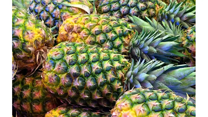 Dole Reports Strong Q3 2025 Revenue Growth, Exceeding Wall Street Expectations