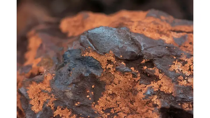 Australia Concerned by China's Reported Pause of BHP Iron Ore Purchases