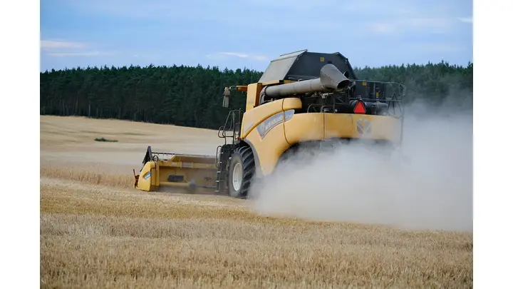 Wheat Futures Gain as Global Supply Tightens