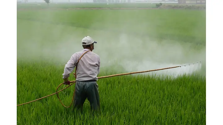 Nissan Chemical to Build New Ryzonic Herbicide Facility in India