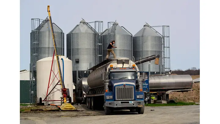 European Bunker Fuel Supply & Stock Trends in January 2026