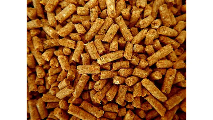 Aboitiz Foods Acquires Singapore's Diasham to Expand Animal Nutrition Portfolio