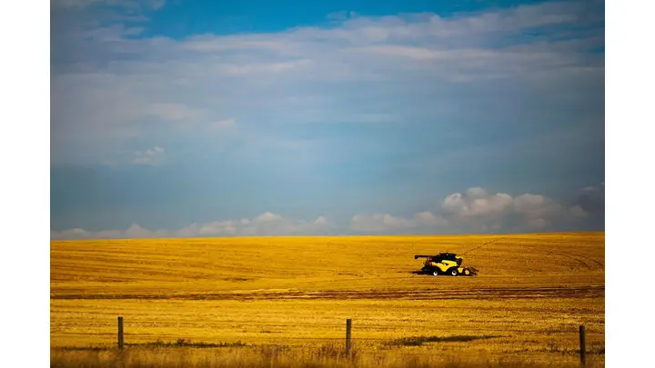 Canada's 2025 Wheat Production Hits Record 40 Million Tonnes