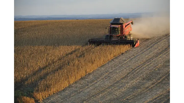 China Buys 600,000 Tonnes of U.S. Soybeans, Nearing 12 Million Tonne Target