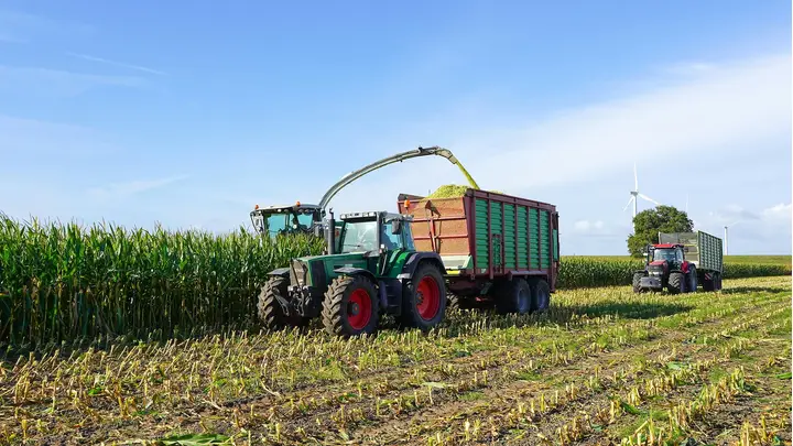 Brazil's 2025-26 Corn Forecast: Production Down 2%, Exports Up 5%